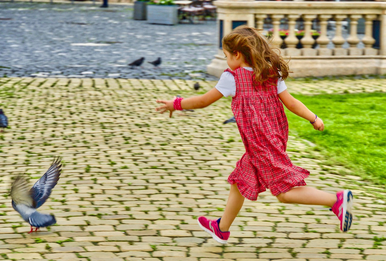 Chasing What S Important Ps Audio