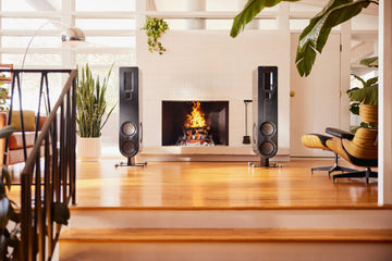 Aspen FR20 Loudspeaker – PS Audio