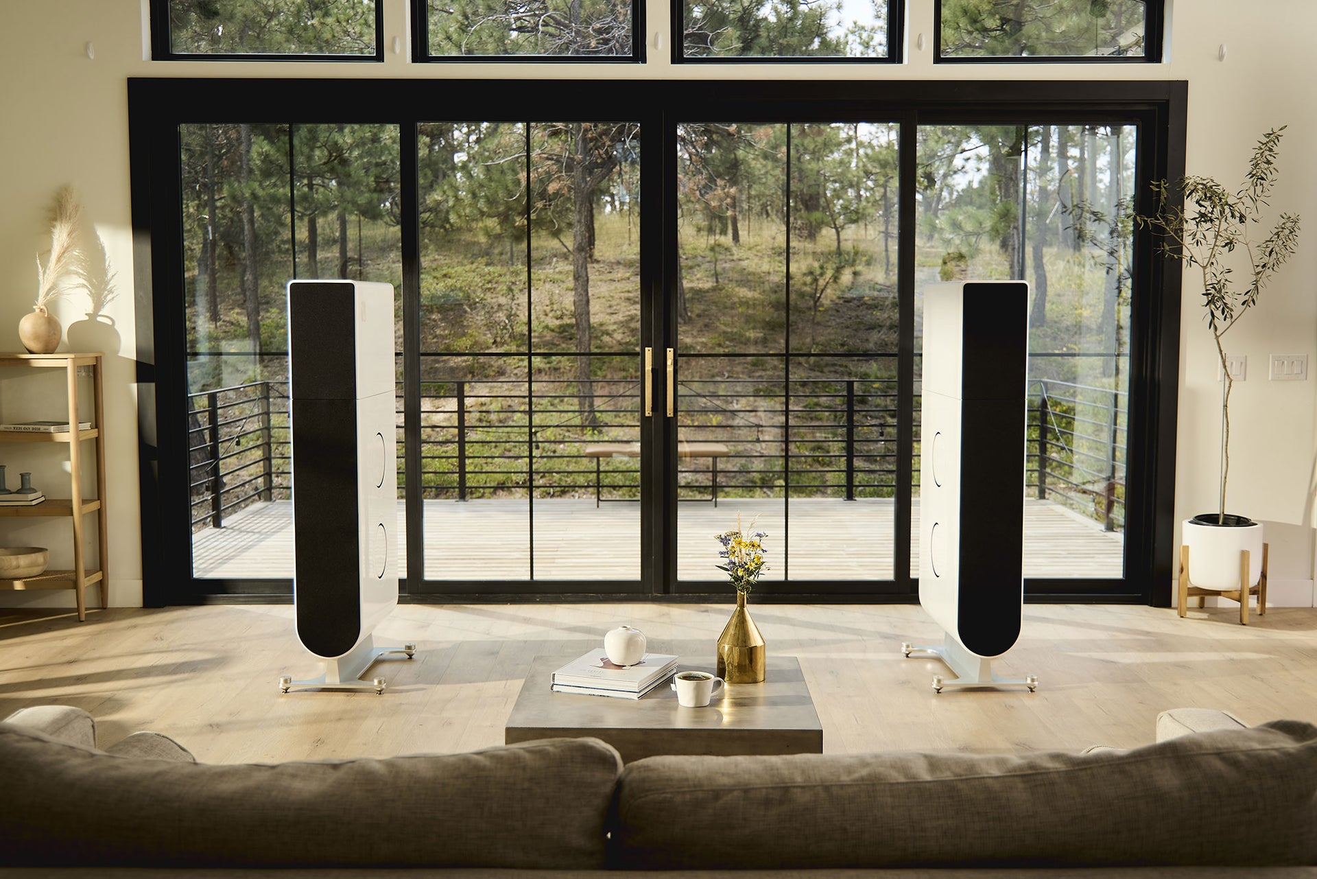 Aspen FR30 Loudspeaker – PS Audio